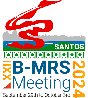 B-MRS Meeting 2024